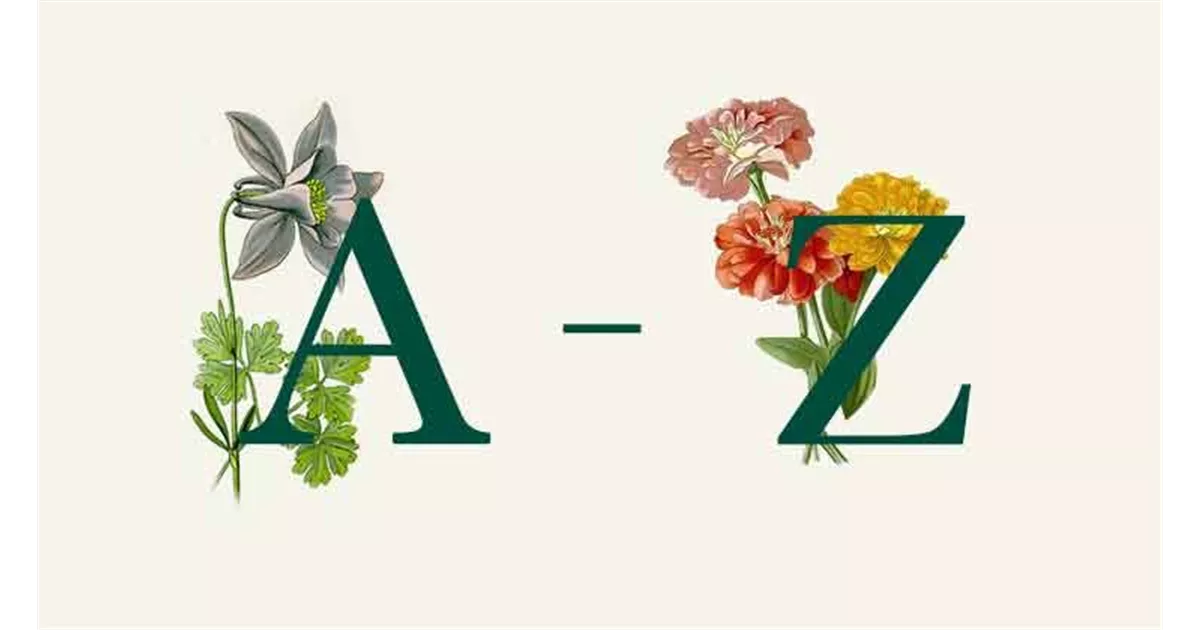 Gartenpflanzen A-Z: sortiert nach Standort, Blüte und Pflege