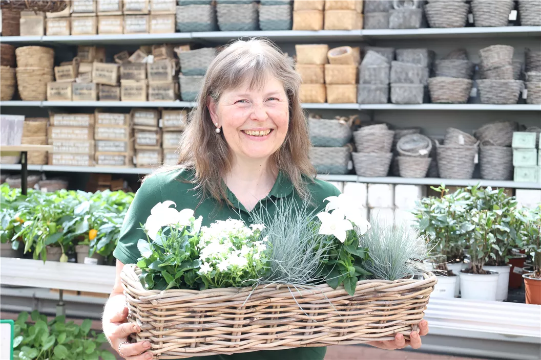 Die schönsten weißen Balkonblumen für Euren Blumenkasten
